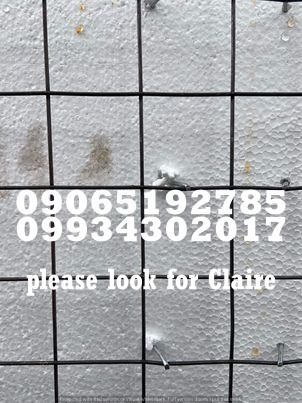 Styromesh 3D panel / EVG 3D, Commercial & Industrial, Construction ...