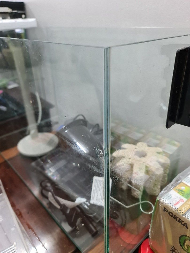 Terrapin Tank, Pet Supplies, Homes & Other Pet Accessories on Carousell