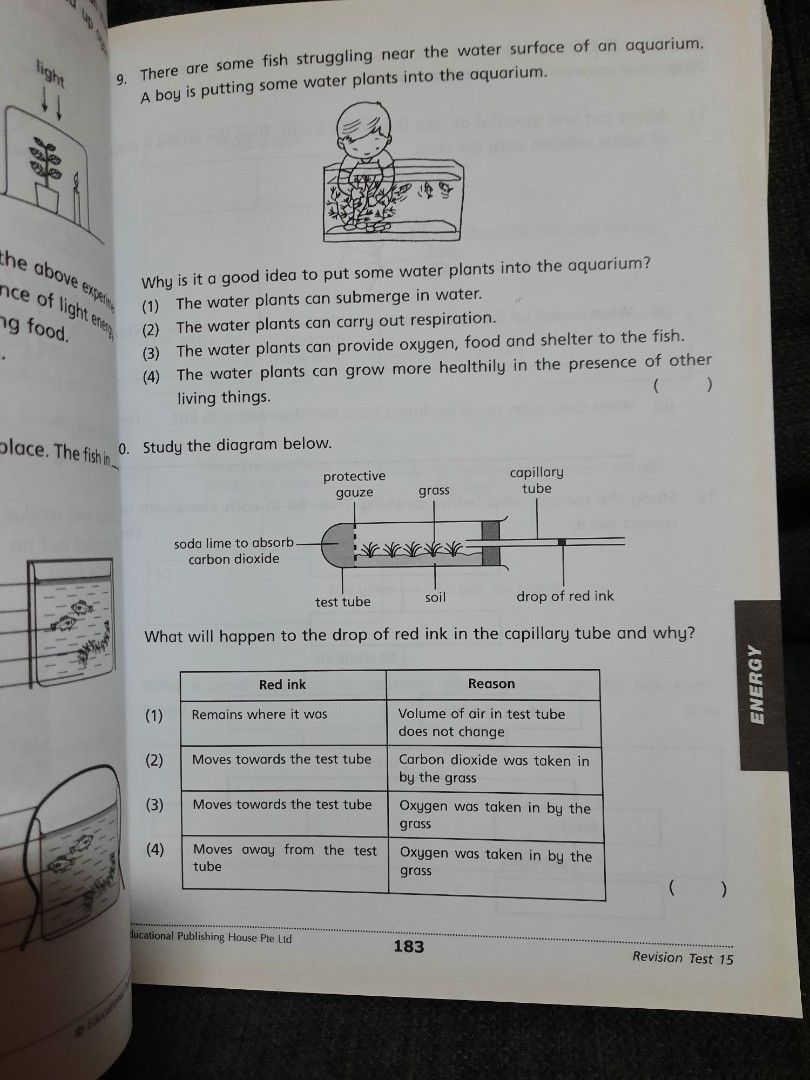 Upper Block Challenging Science Primary 4 5 6 PSLE, Hobbies & Toys ...