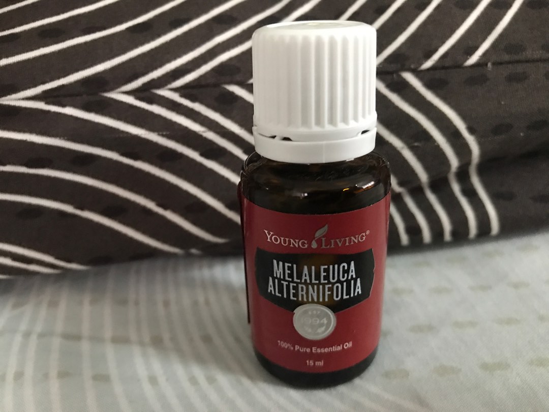 Young Living Tea Tree Essential Oil Melaleuca Alternifolia 15 ml ...