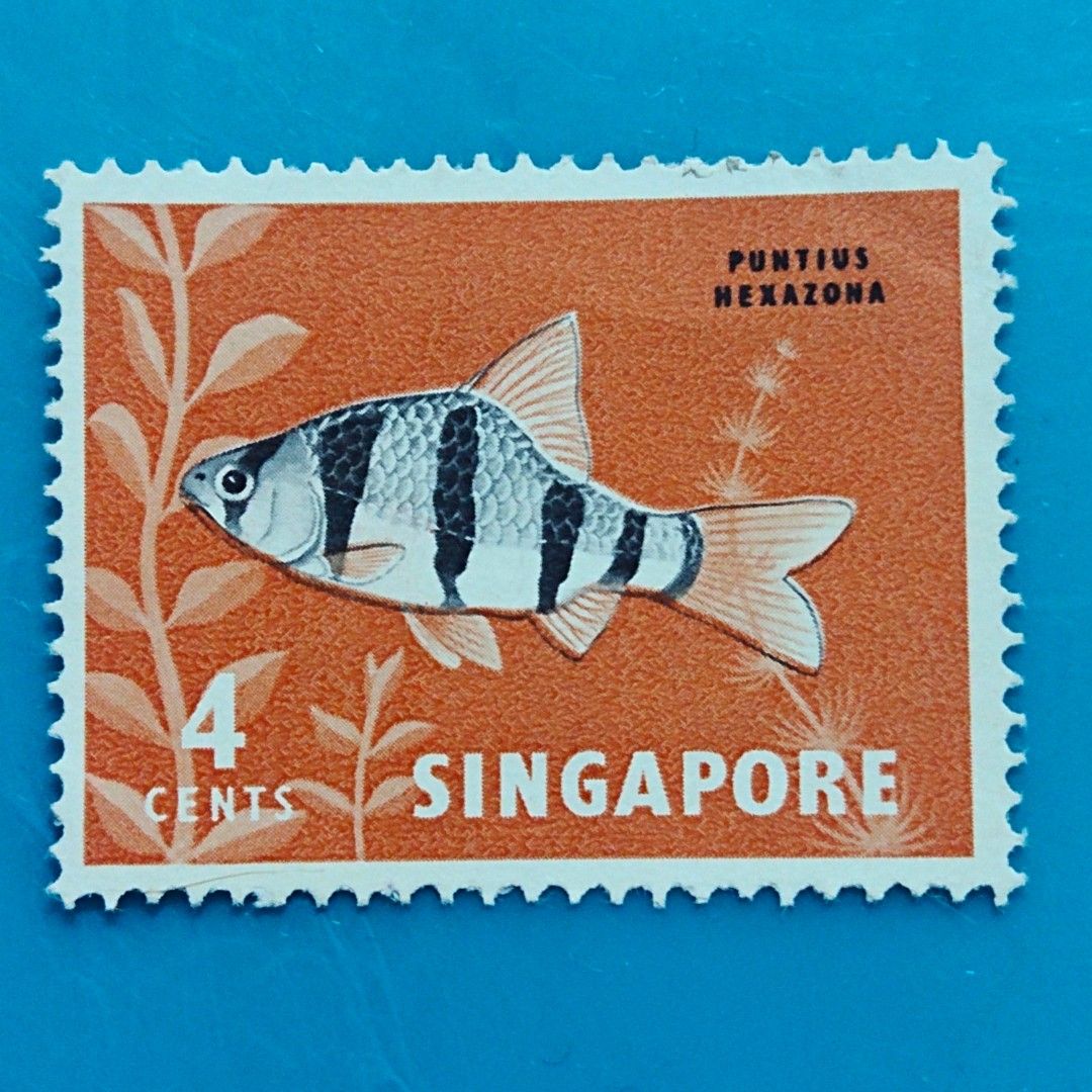 1962 Singapore Fish Definitive Series #BJ, Hobbies & Toys, Collectibles ...
