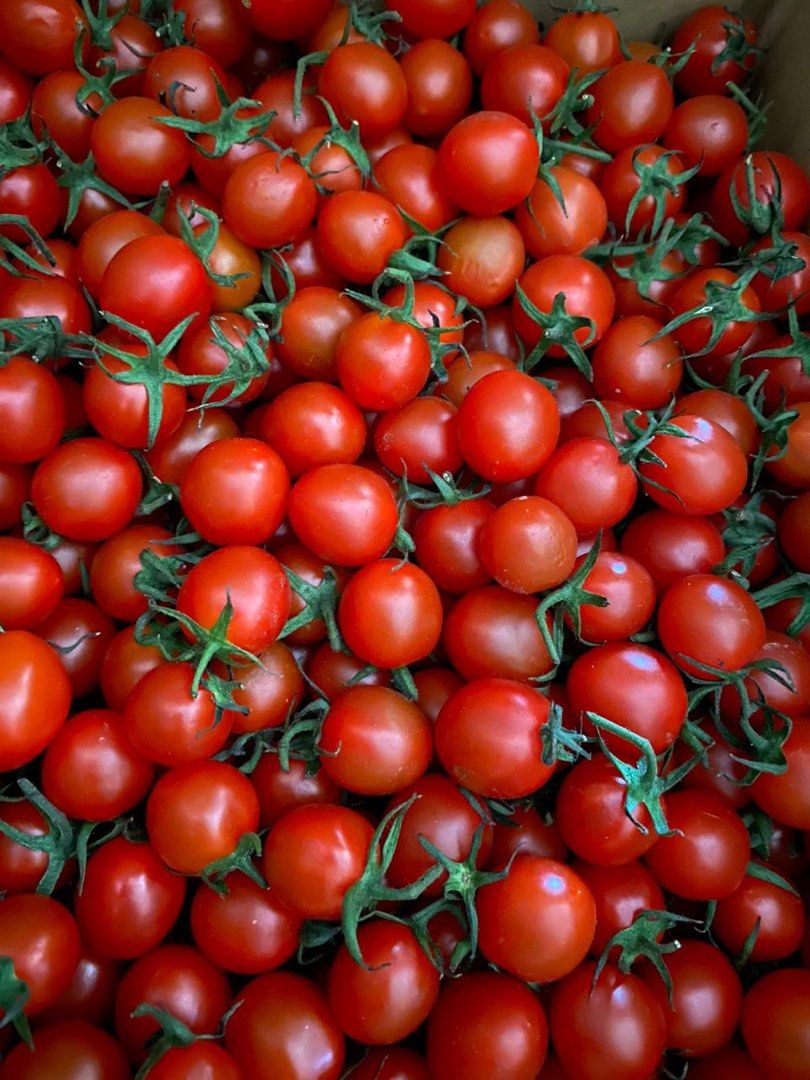 1kg sweet premium cherry tomato RM16, Food & Drinks, Fresh Produce on Carousell