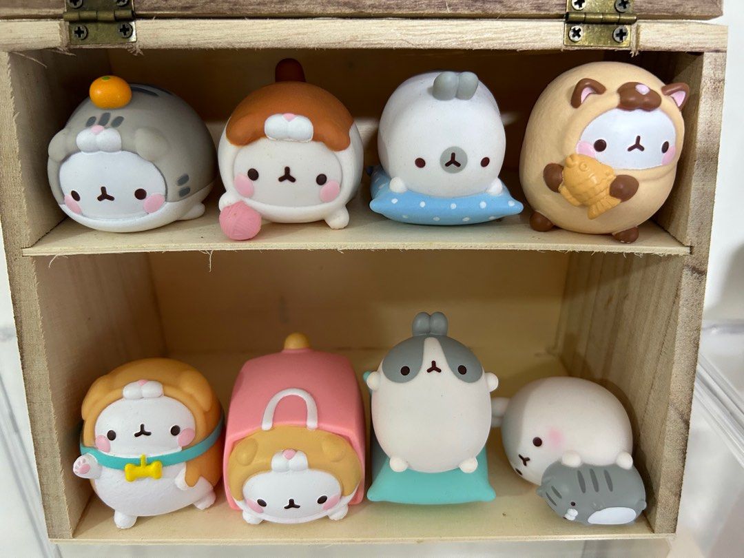 Authentic Molang Potato Rabbit Full Set, Hobbies & Toys, Toys & Games ...