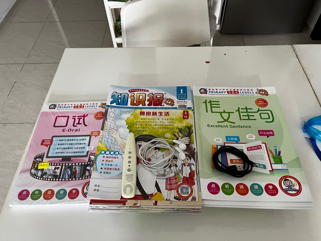 Chinese reading aid pen, Everything Else on Carousell