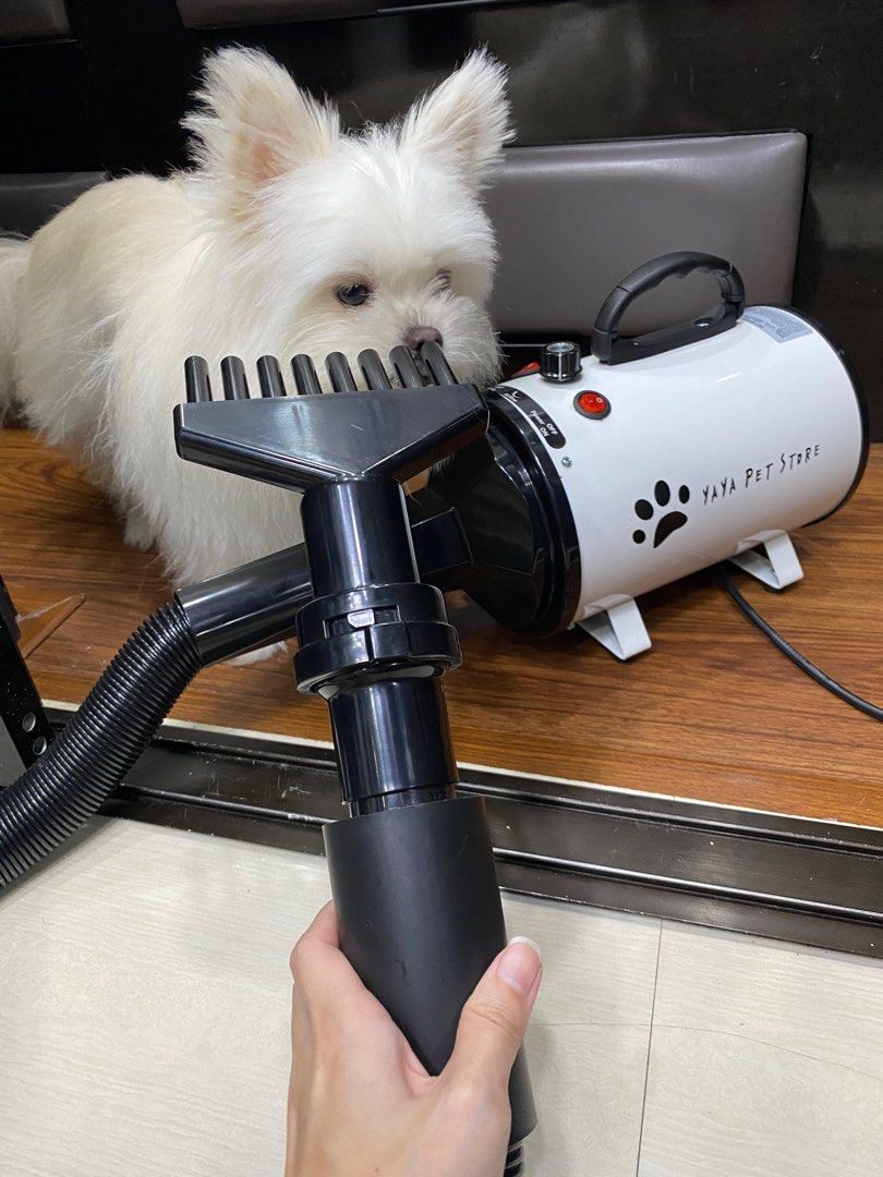 Fast Drying 2800W Pet Dryer Dog Cat Grooming Dryer Pet Hair Dryer ...