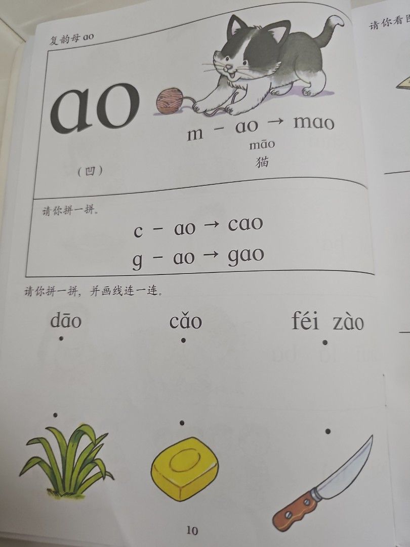 Learn Han Yu Pin Yin, Hobbies & Toys, Books & Magazines, Children's ...