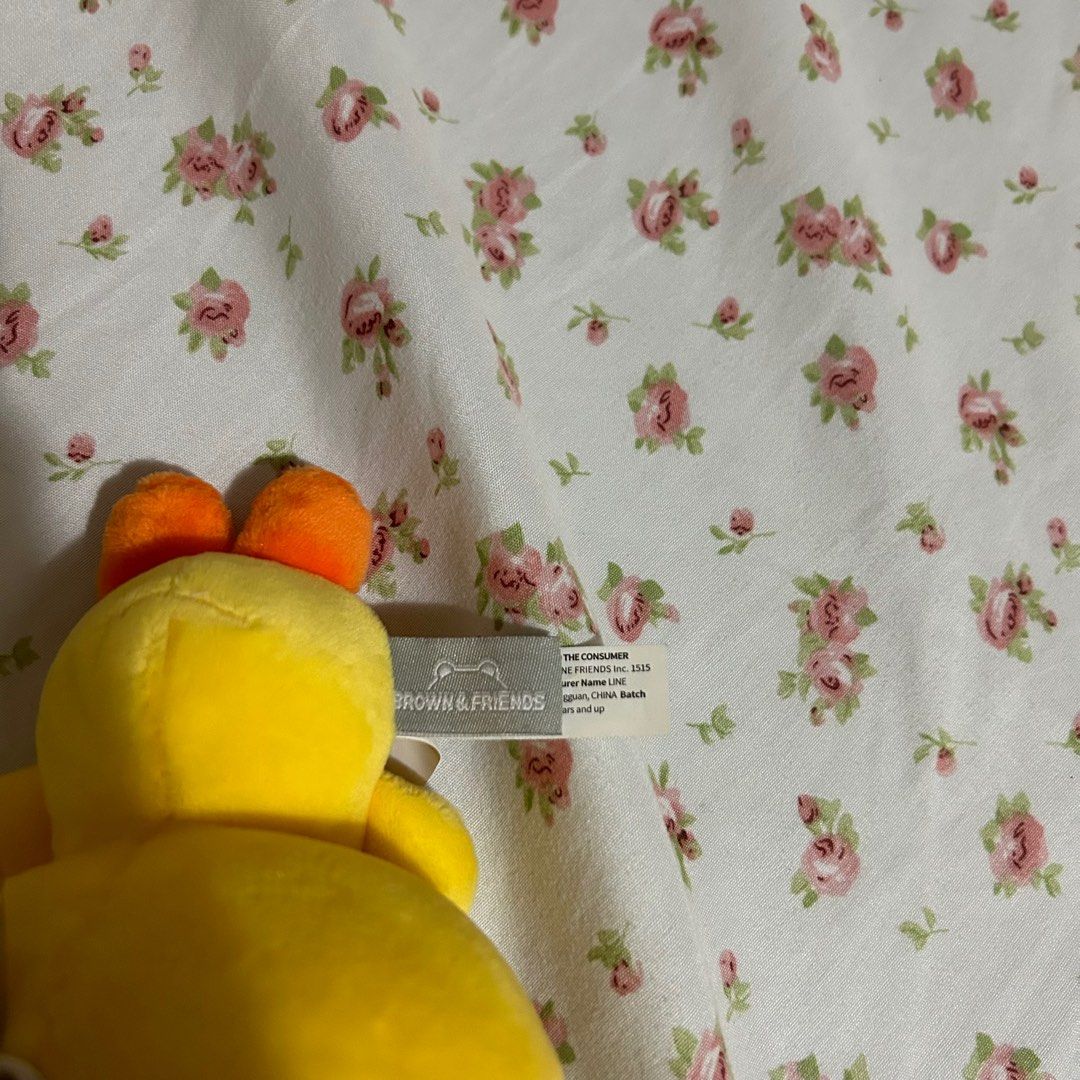 Line friends keychain plush, Hobbies & Toys, Toys & Games on Carousell