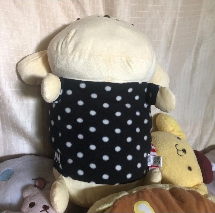Pompompurin Chocolate Plush on Carousell