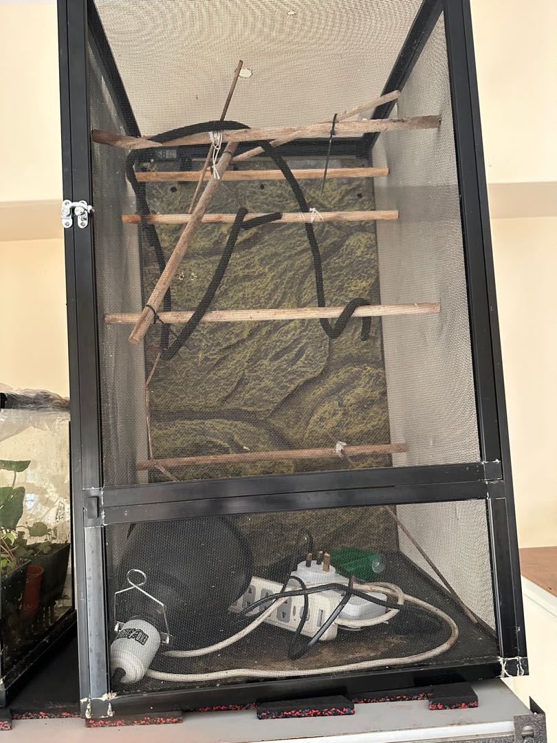 Reptile screen cage, Pet Supplies, Homes & Other Pet Accessories on ...