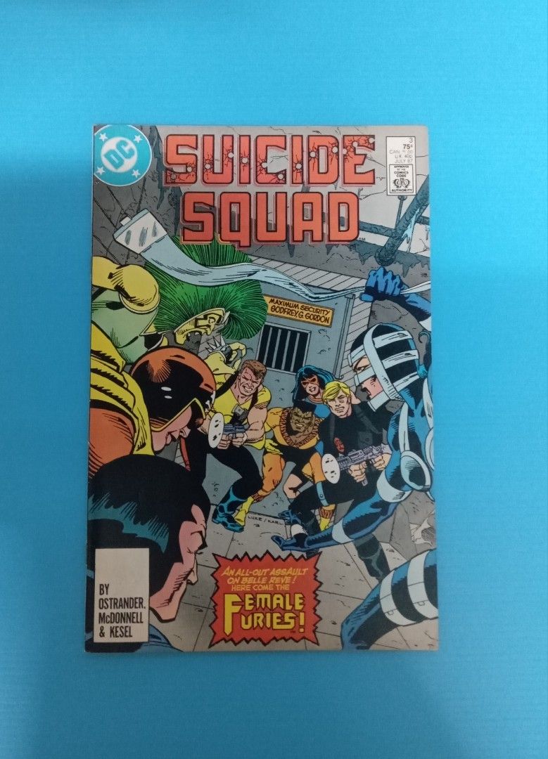 Suicide Squad #3 ( Luke McDonnell - Cover Art ) DC Copper Age, Hobbies ...