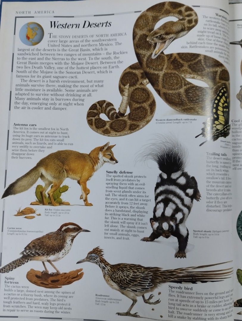 The Animal Atlas - written by Barbara Taylor & illustrated by Kenneth ...