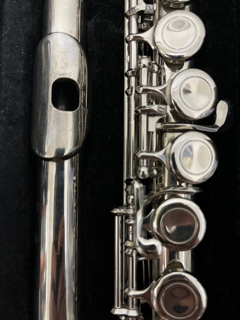 Slade Flute US design, Hobbies & Toys, Music & Media, Musical ...