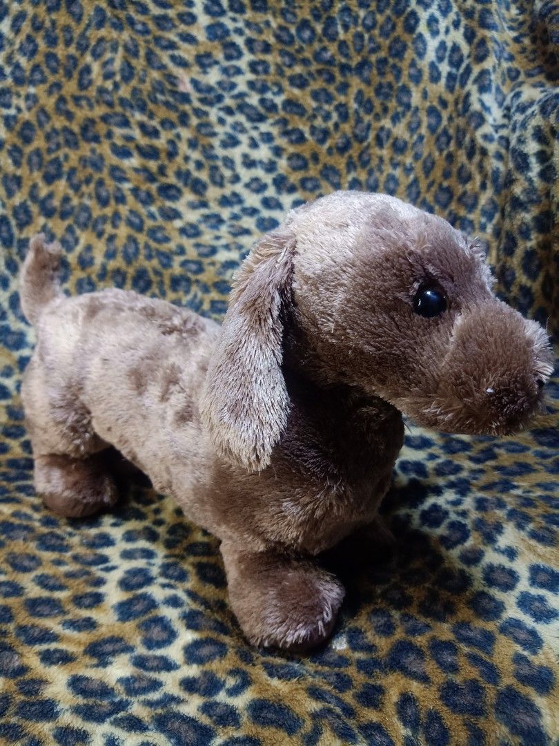 VERY CUTE REALISTIC DACHSHUND DOG PLUSH TY BRAND, Hobbies & Toys, Toys ...