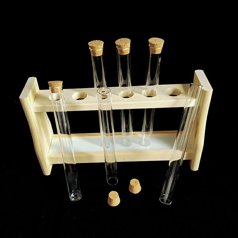 Wooden Test tube rack with 6 test tubes, Hobbies & Toys, Stationery ...