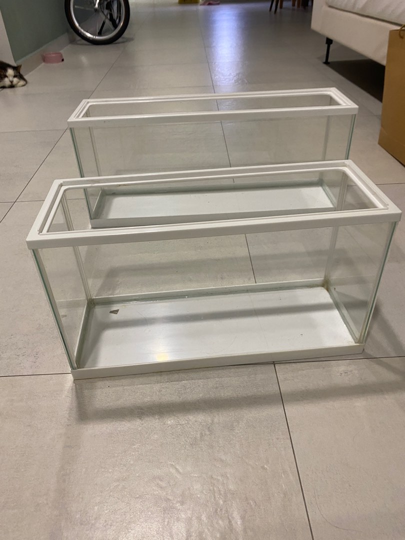 GEX Desk Boy 600 and 450, Pet Supplies, Homes & Other Pet Accessories on Carousell