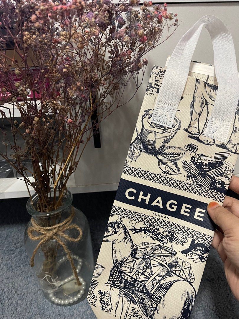 CHAGEE INSULATED BAG, Hobbies & Toys, Collectibles & Memorabilia, Fan ...