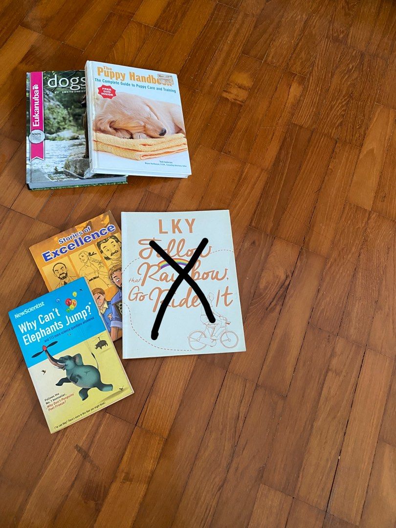 Dork Diaries Diary of Wimpy Kids Enid Blyton David Walliams Learn about ...