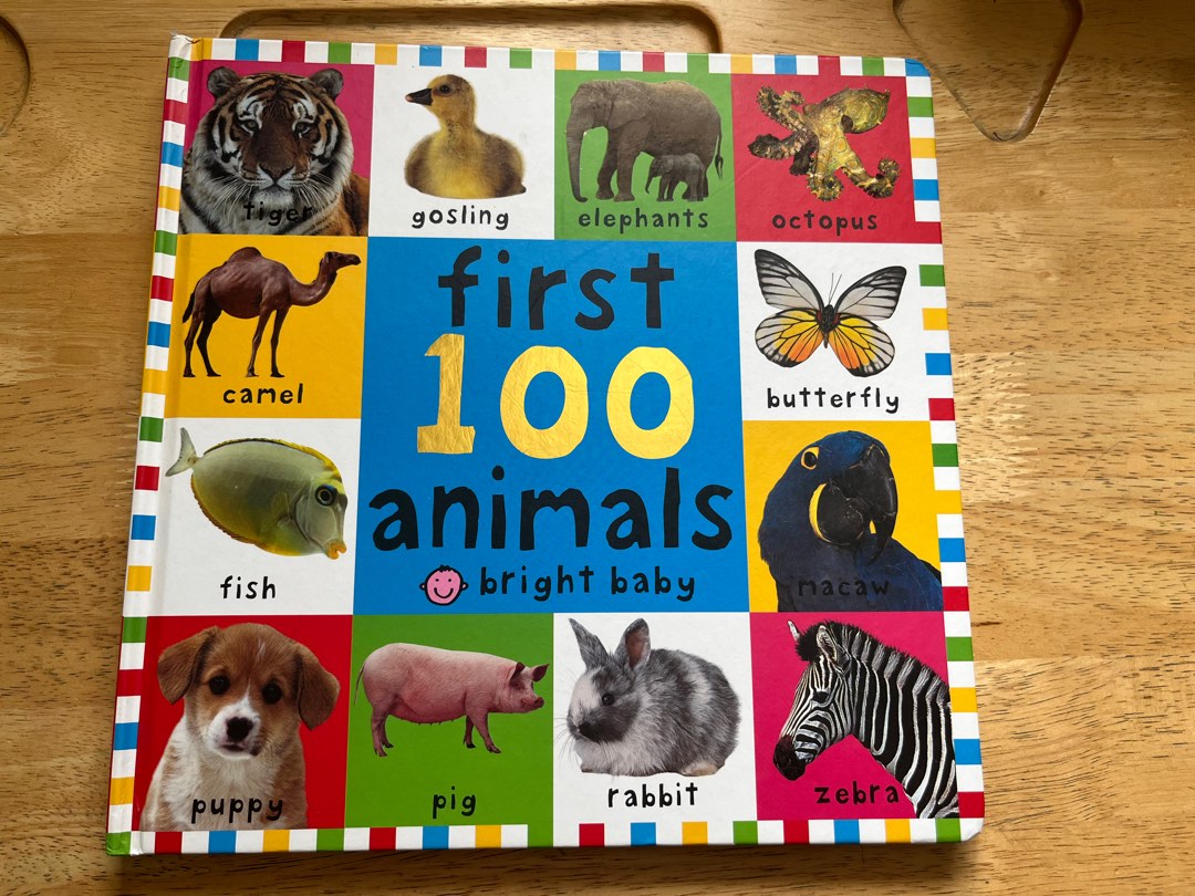 First 100 animals (big book), 興趣及遊戲, 書本 & 文具, 小朋友書 - Carousell