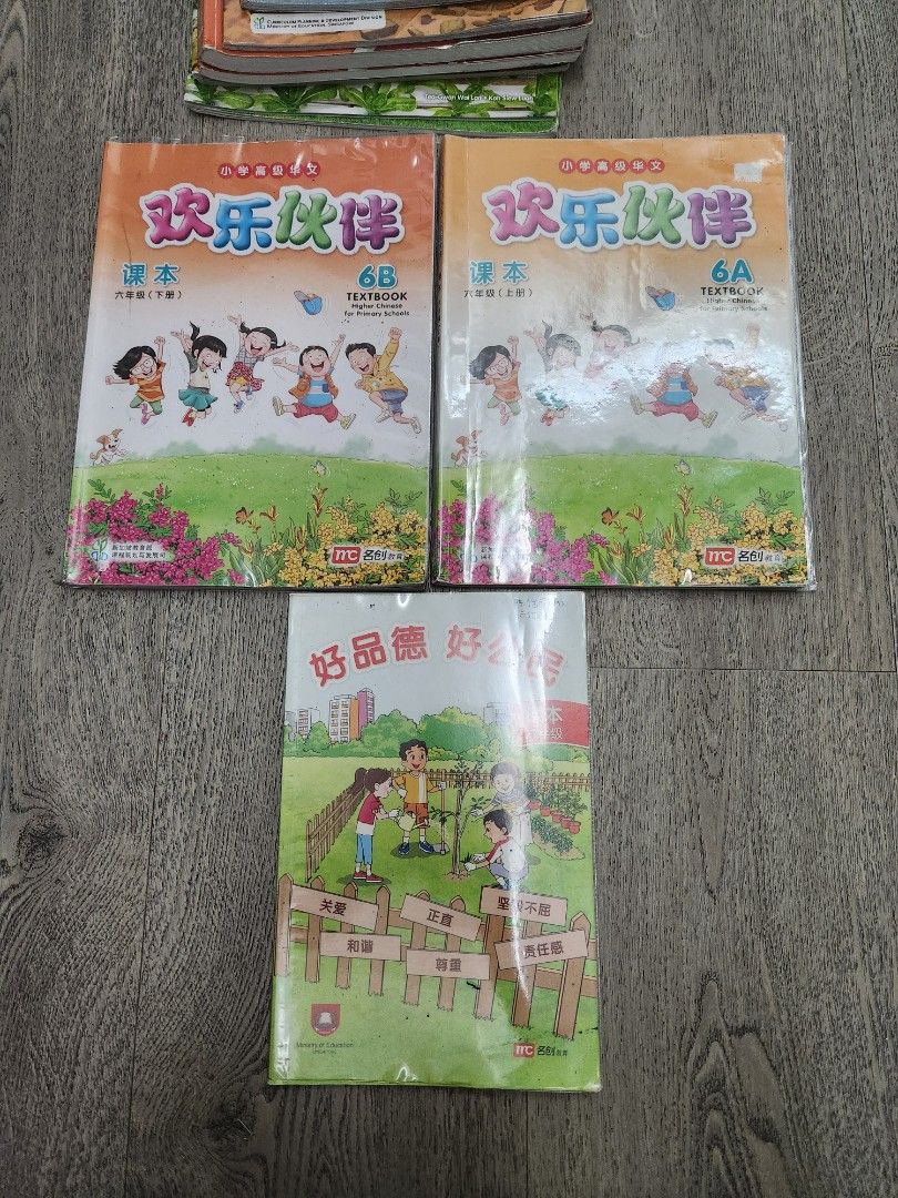 Full Set P6 Textbooks n English Guide book, Hobbies & Toys, Books ...