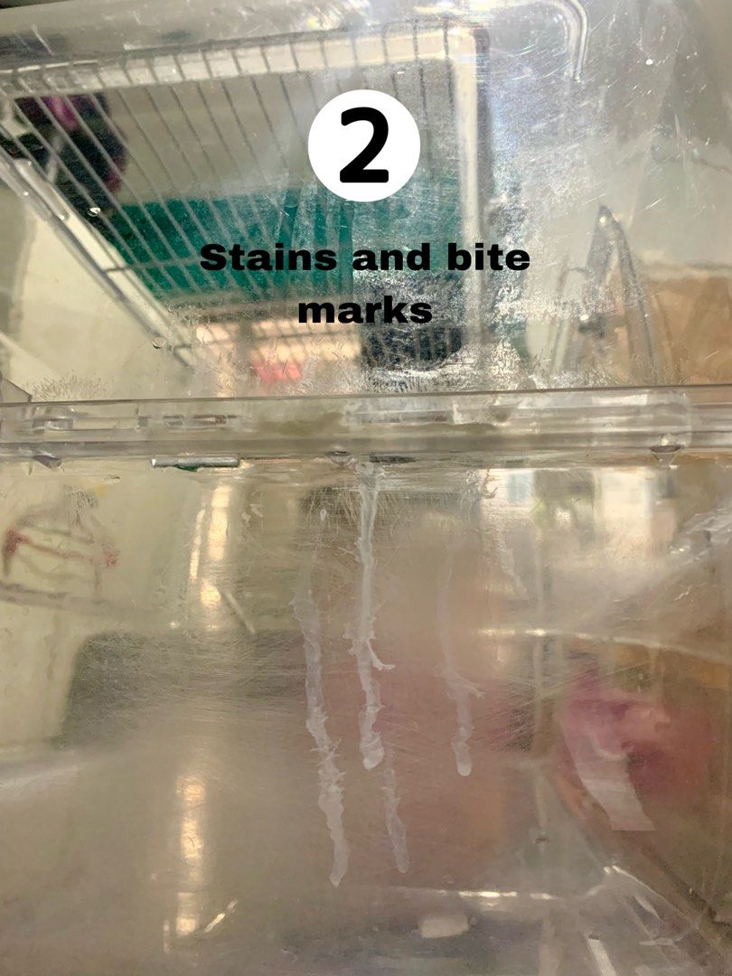 Hedgehog Planet hamster cages 72cm, Pet Supplies, Homes & Other Pet ...