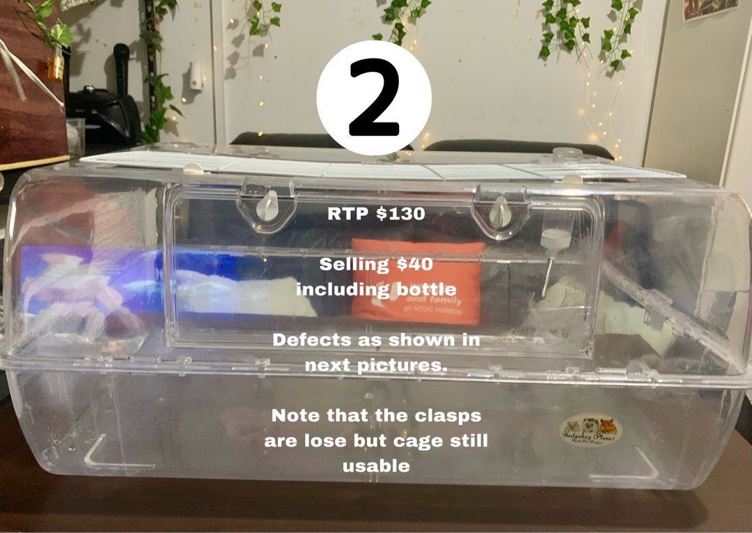 Hedgehog Planet hamster cages 72cm, Pet Supplies, Homes & Other Pet ...