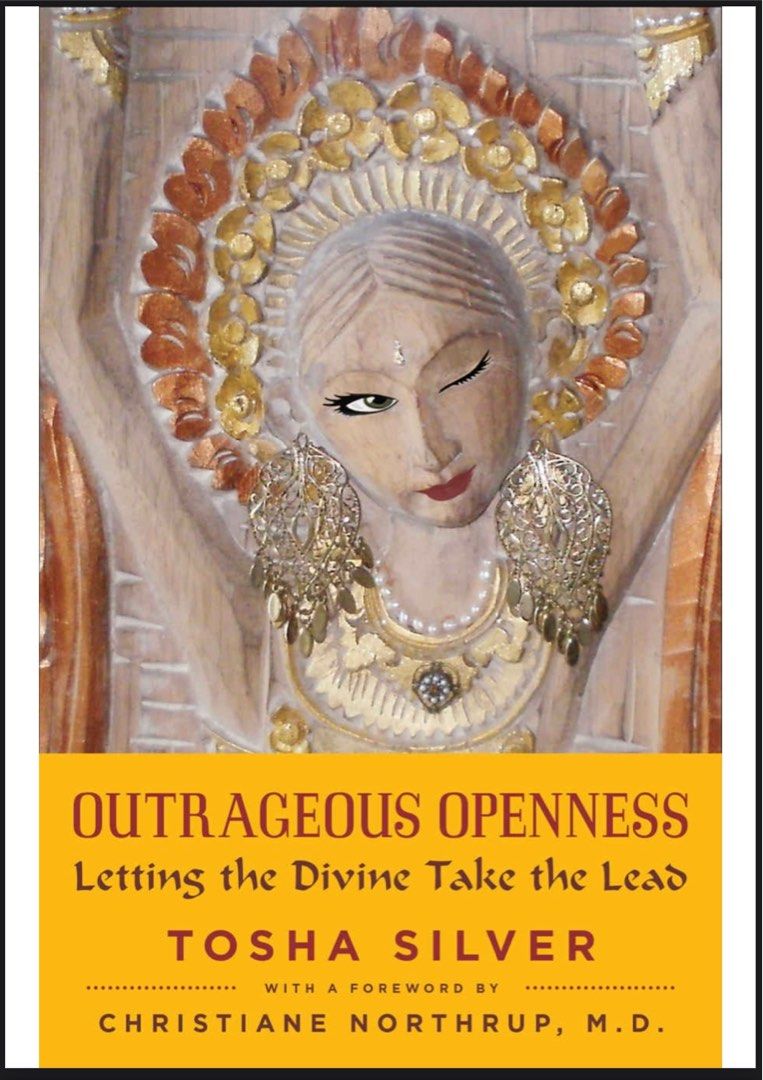 Outrageous Openness: Letting the Divine Take the Lead by Tosha Silver PDF, Hobbies & Toys, Books ...