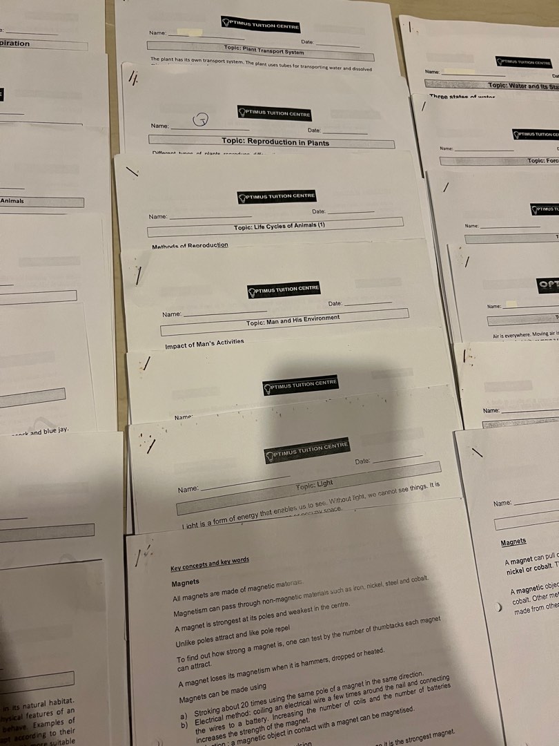 P5 and P6 PSLE Science Shifu, mindstretcher Notes and Worksheet ...