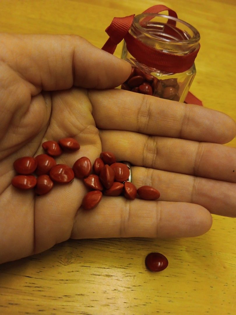 Saga seeds 300pcs...., Furniture & Home Living, Gardening, Plants ...