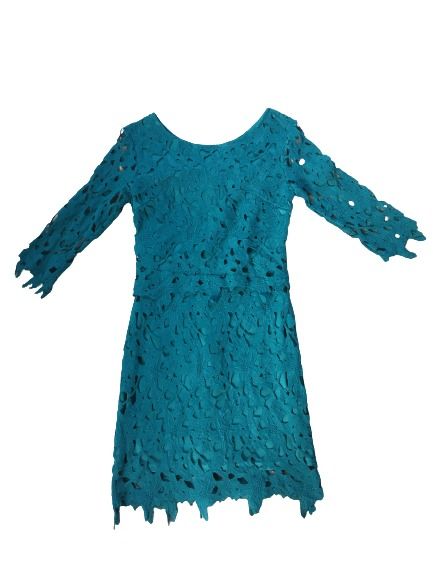 Samlin Ladies Lace Dress, Women's Fashion, Dresses & Sets, Dresses on ...