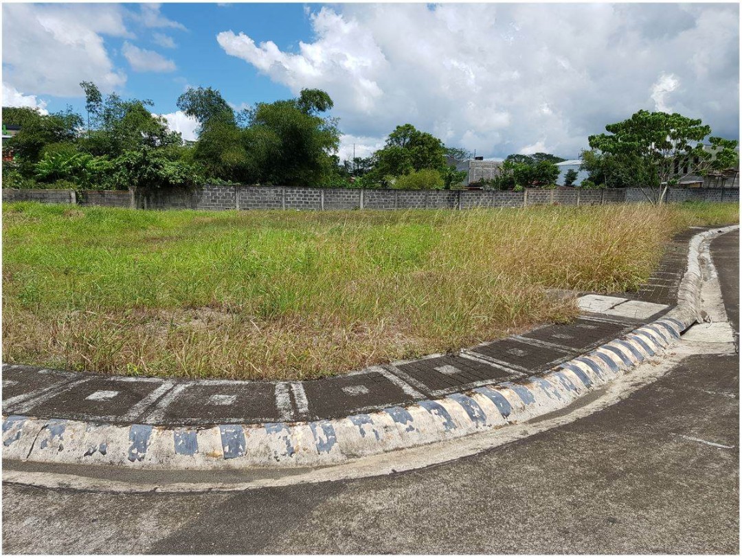 408 Square Meter Residential Corner Lot For Sale at Naga City ...