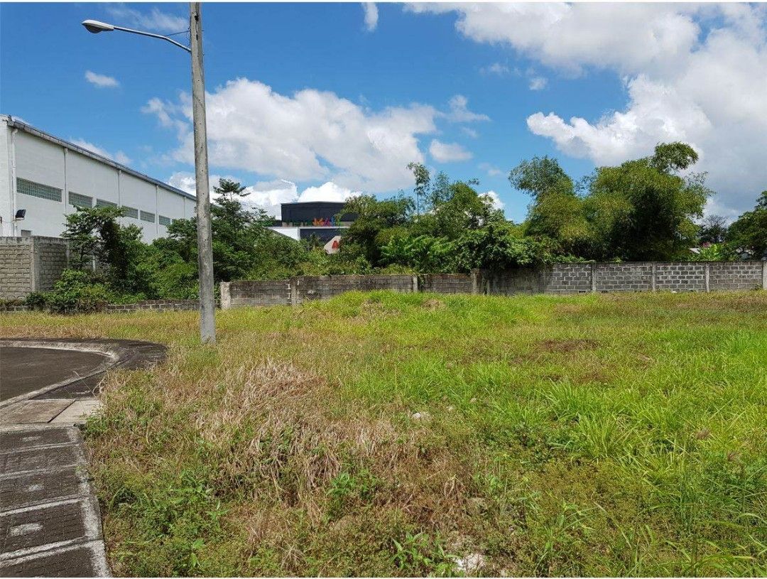 408 Square Meter Residential Corner Lot For Sale at Naga City ...