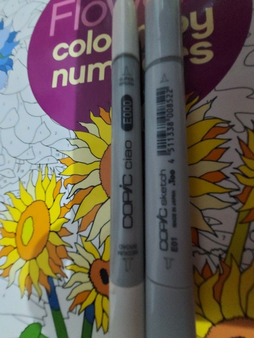Copic Sketch Marker (made in japan), Hobbies & Toys, Stationery & Craft ...