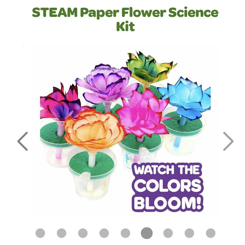 Crayola STEAM Paper Flower Science Kit, Hobbies & Toys, Toys & Games on ...