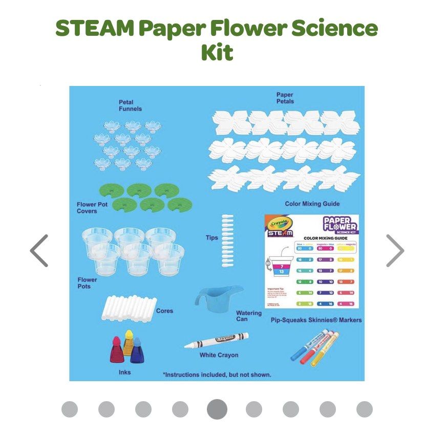 Crayola STEAM Paper Flower Science Kit, Hobbies & Toys, Toys & Games on ...