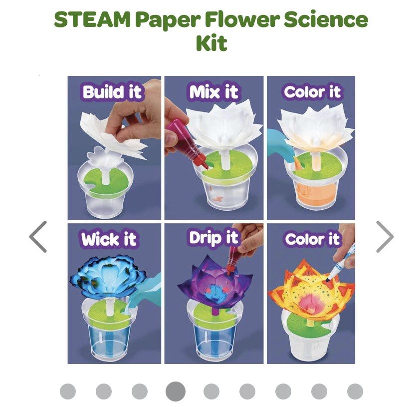 Crayola STEAM Paper Flower Science Kit, Hobbies & Toys, Toys & Games on ...