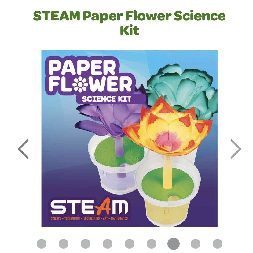 Crayola STEAM Paper Flower Science Kit, Hobbies & Toys, Toys & Games on ...