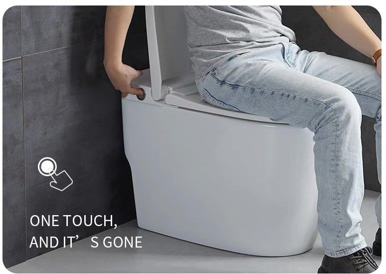 Integrated Toilet Bowl (Invisible Water Tank), Furniture & Home Living ...