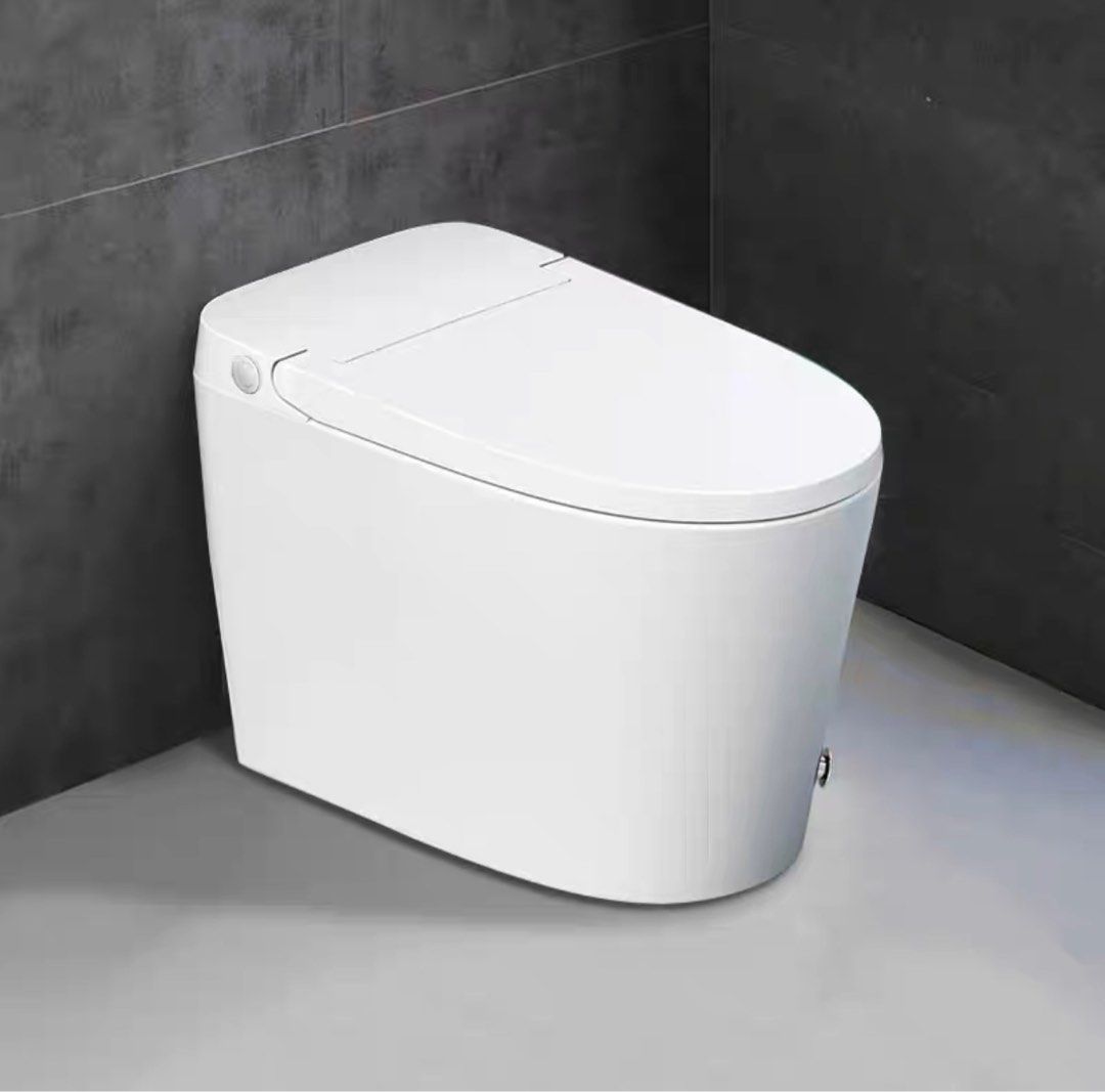 Integrated Toilet Bowl (Invisible Water Tank), Furniture & Home Living ...