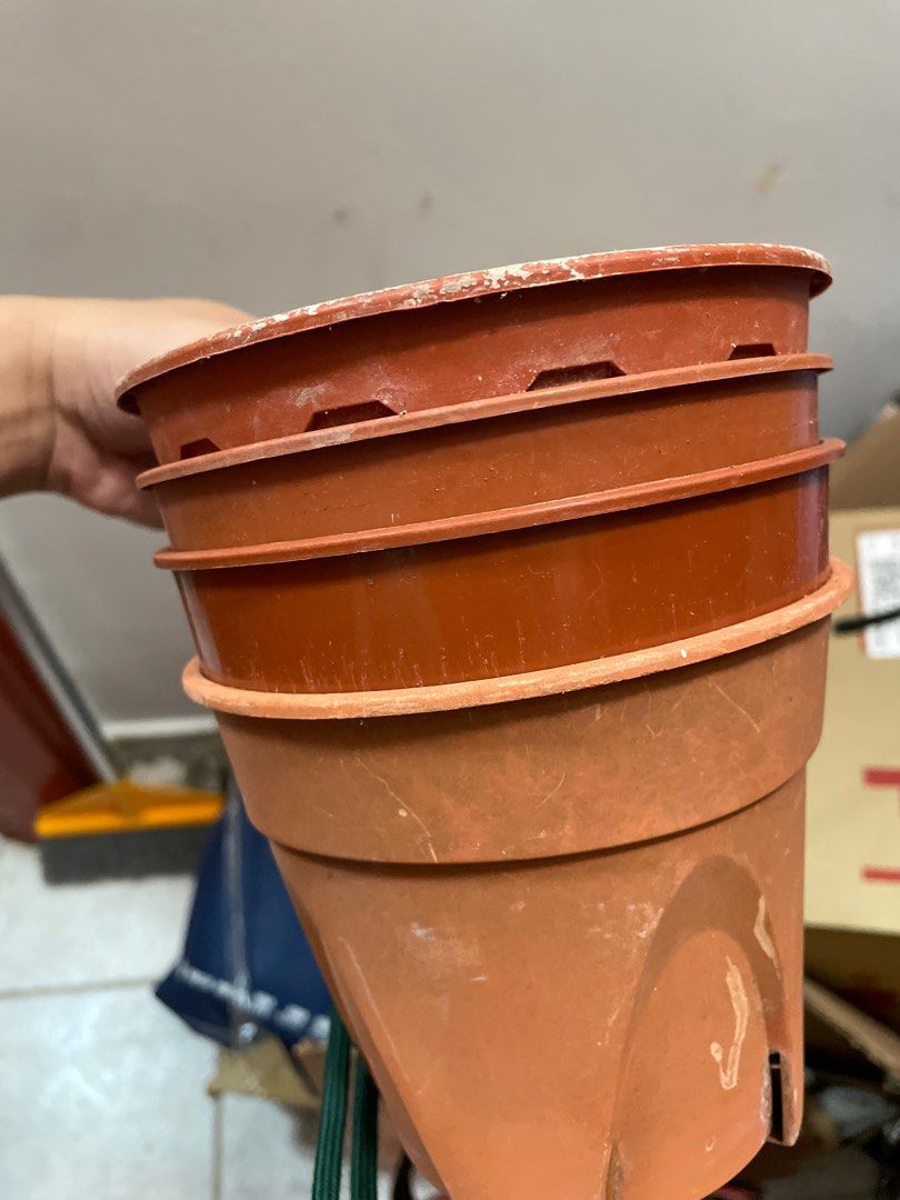 Plant pots, Furniture & Home Living, Gardening, Pots & Planters on ...