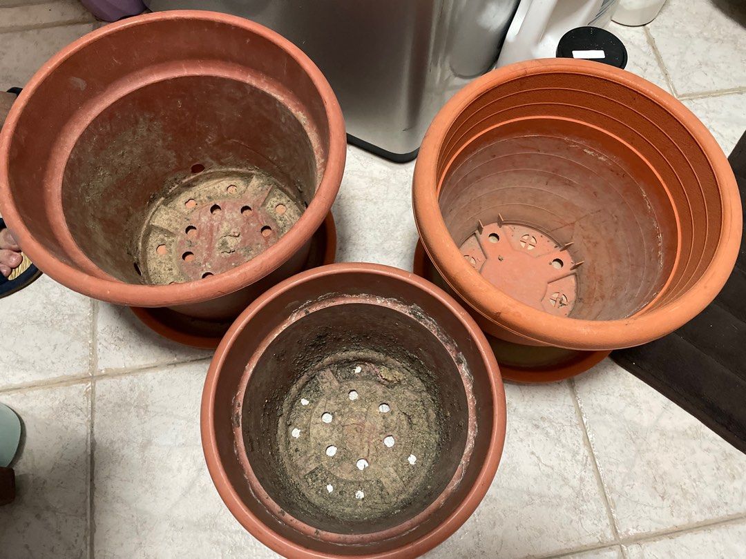 Plant pots, Furniture & Home Living, Gardening, Pots & Planters on ...