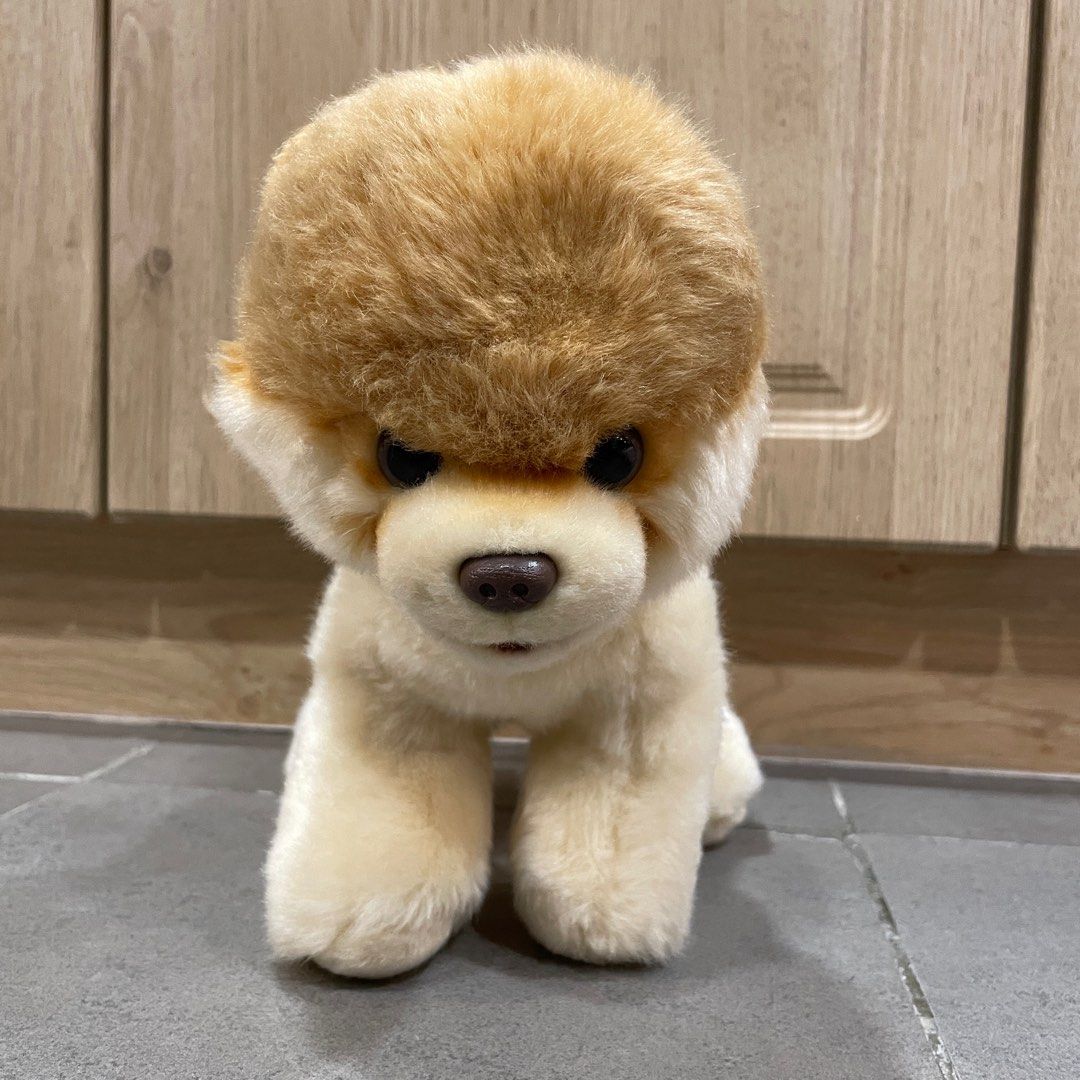Pomeranian Pom Dog Puppy Plush Plushie Plushy Soft Toy Realistic Cute ...