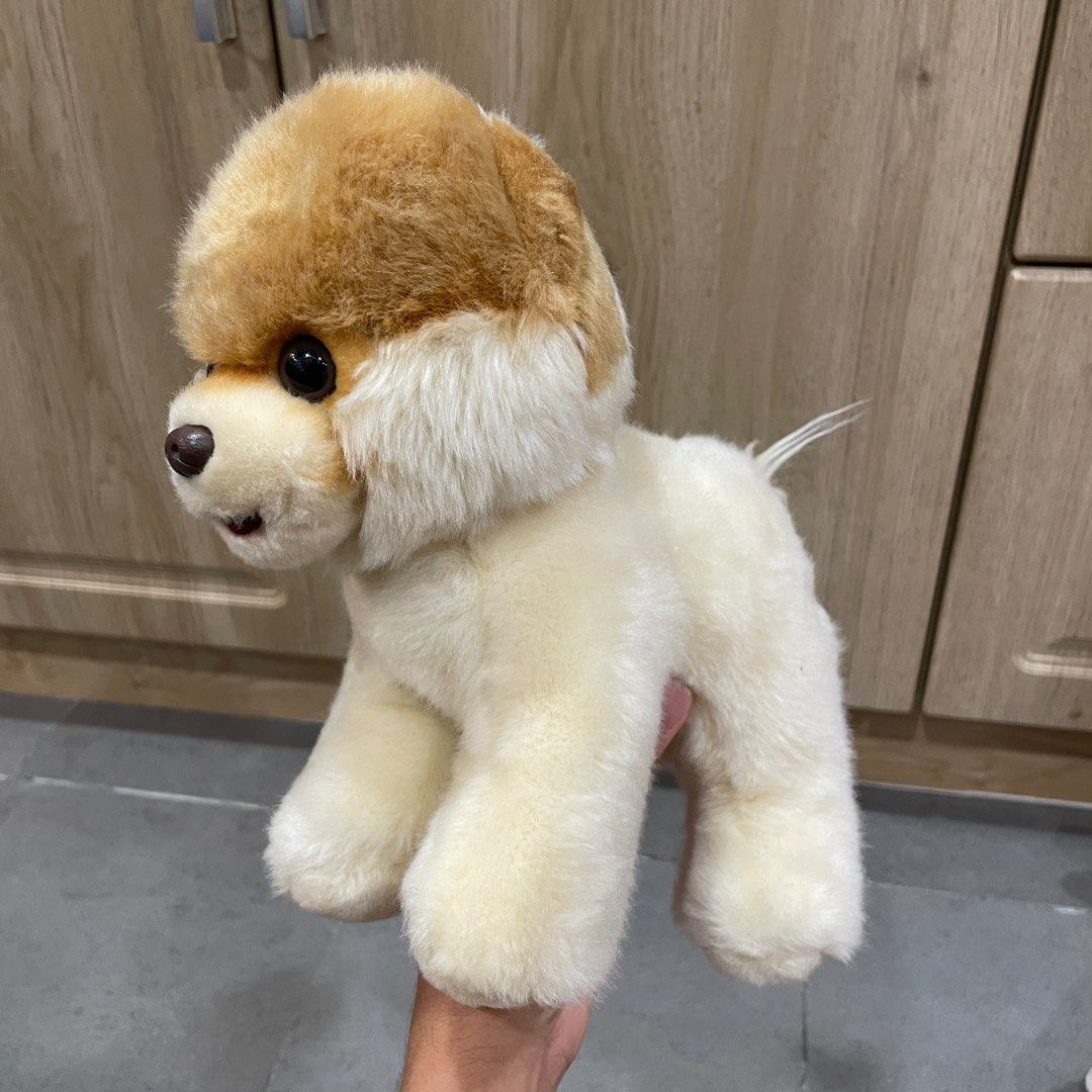 Pomeranian Pom Dog Puppy Plush Plushie Plushy Soft Toy Realistic Cute ...