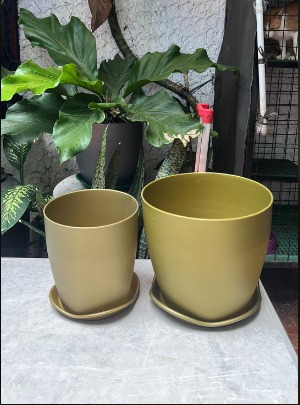 SMALL/MED GOLD POTS FOR PLANTERS - To, Furniture & Home Living ...
