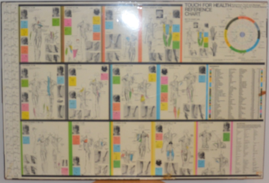 Touch for Health Reference Chart 1100 x 750 mm, Furniture & Home Living ...