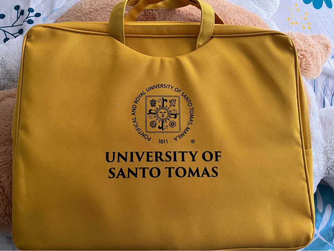 UST Laptop bag w/ tote, Women's Fashion, Bags & Wallets, Purses ...