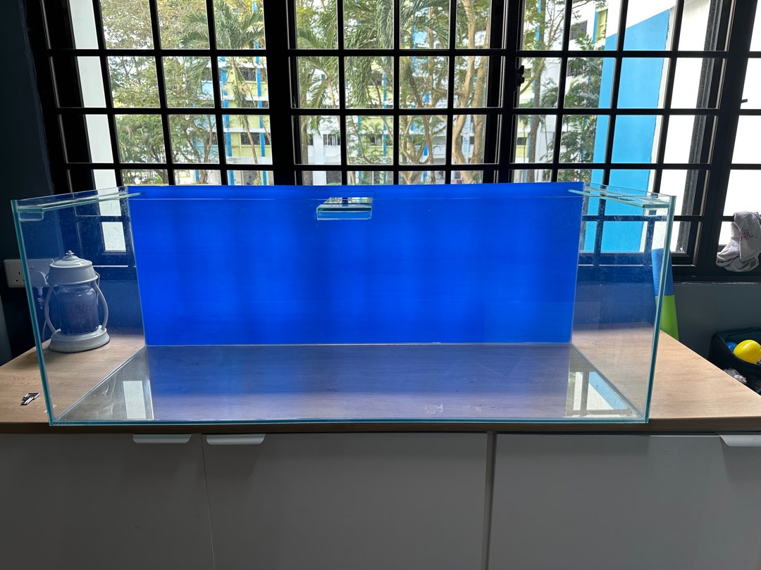 4 ft fish tank, Pet Supplies, Homes & Other Pet Accessories on Carousell