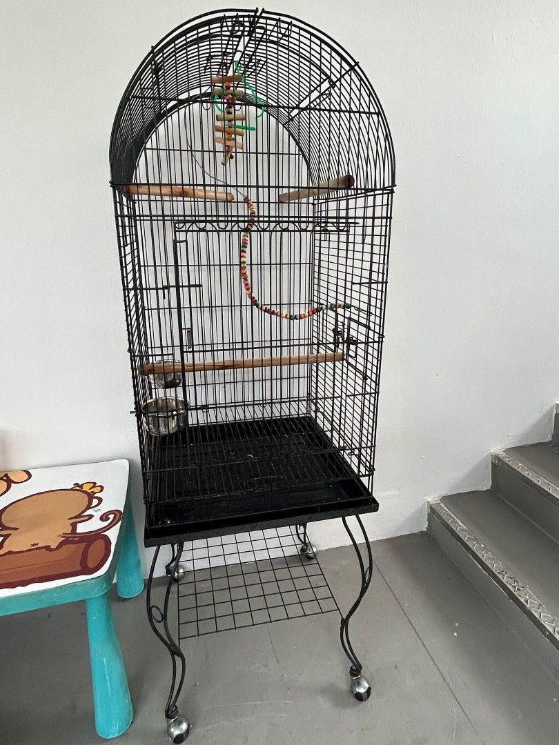 Bird cage, Pet Supplies, Homes & Other Pet Accessories on Carousell