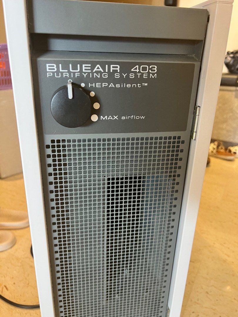Blueair 403 Air Purifier, TV & Home Appliances, Air Purifiers ...