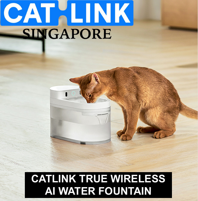 CATLINK True Wireless Pet Dog Cat Water Fountain - The ultimate ...