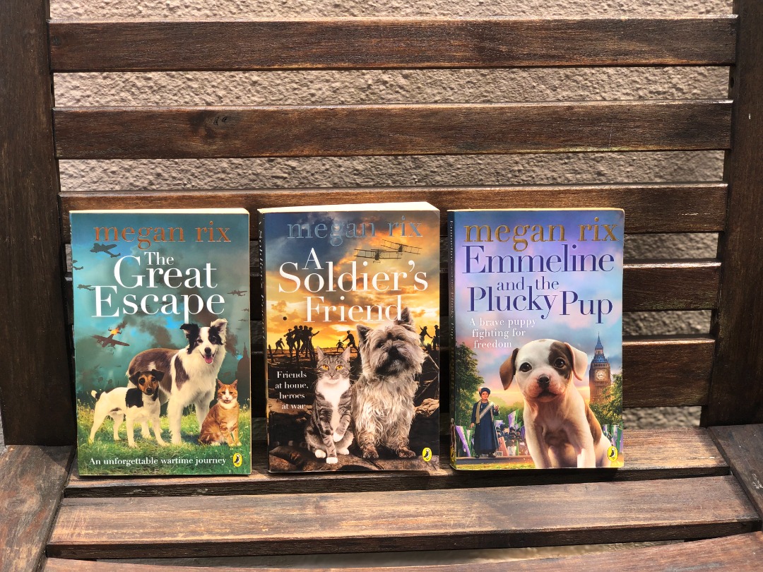 Children's Megan Rix Books Set of Three, Hobbies & Toys, Books ...